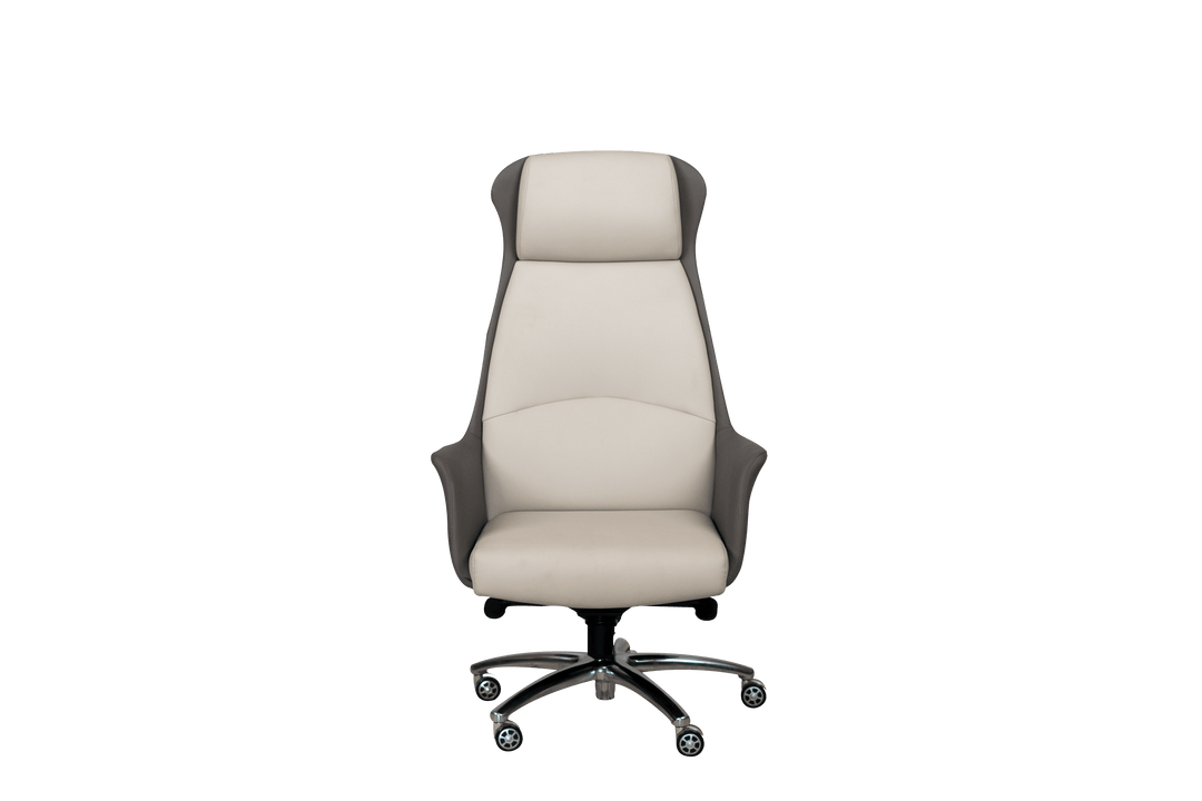 Executive Office Chairs Price In Pakistan - Buy Now - Office Empire