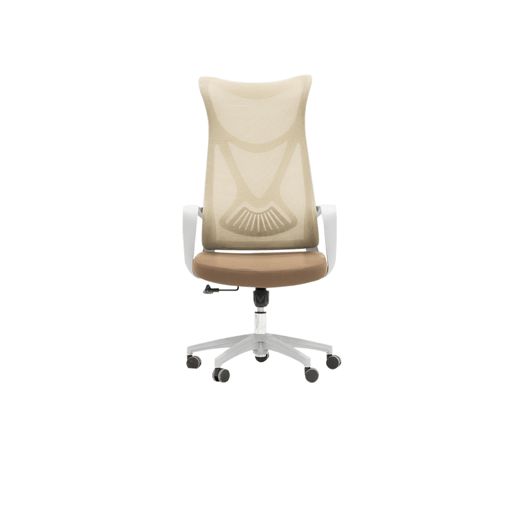 Revolving Chair - FS808 – Office Empire